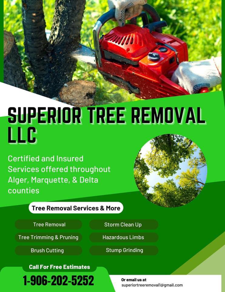 Superior Tree Removal $1500 Certificate